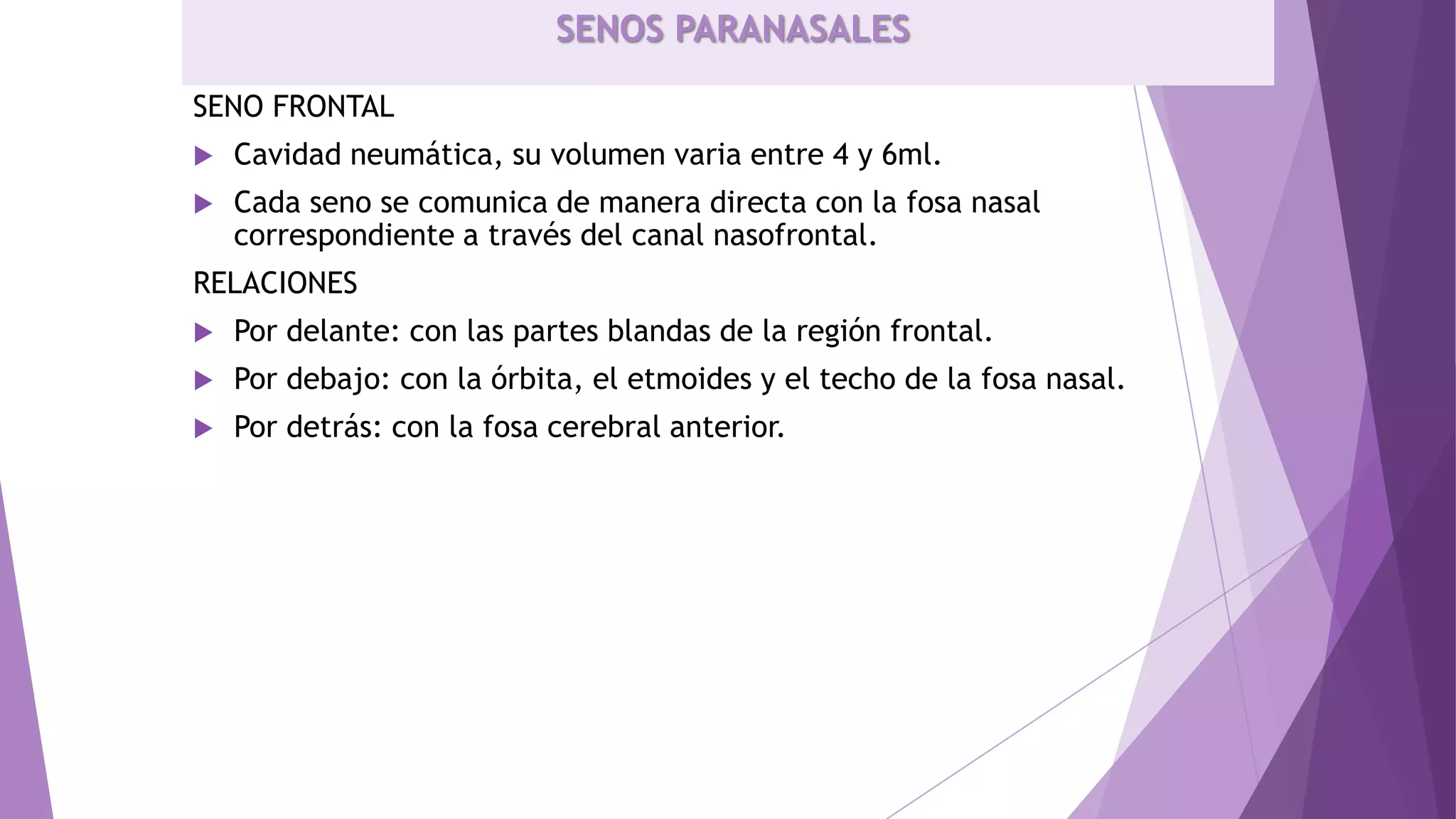 Fosas nasales anatomia | PPTX