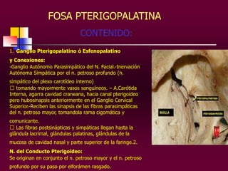Fosas temporal, cigomatica y pterigopalatina | PDF
