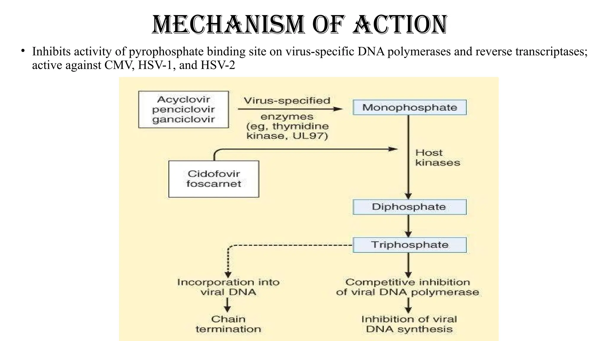FOSCARNET - ANTIVIRAL DRUG AND ITS INDICATIONS .pptx