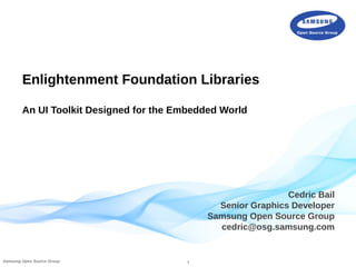 Enlightenment Foundation Libraries (Overview) | PPT