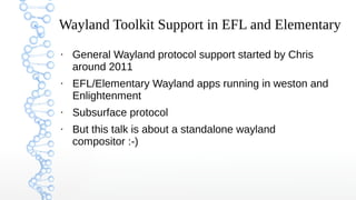 Enlightenment as Standalone Wayland Compositor | PDF