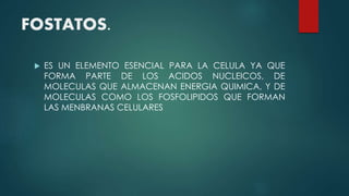 Fosfatos | PPTX