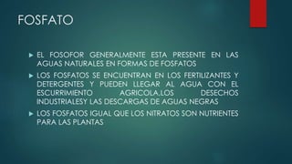 Fosfatos | PPTX