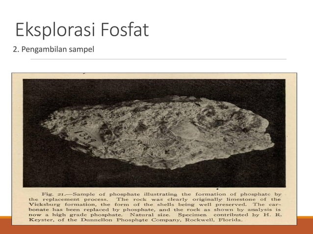 FOSFOR - BAHAN GALIAN INDUSTRI - BONITA | PPT