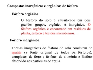Fosforo na planta | PPTX