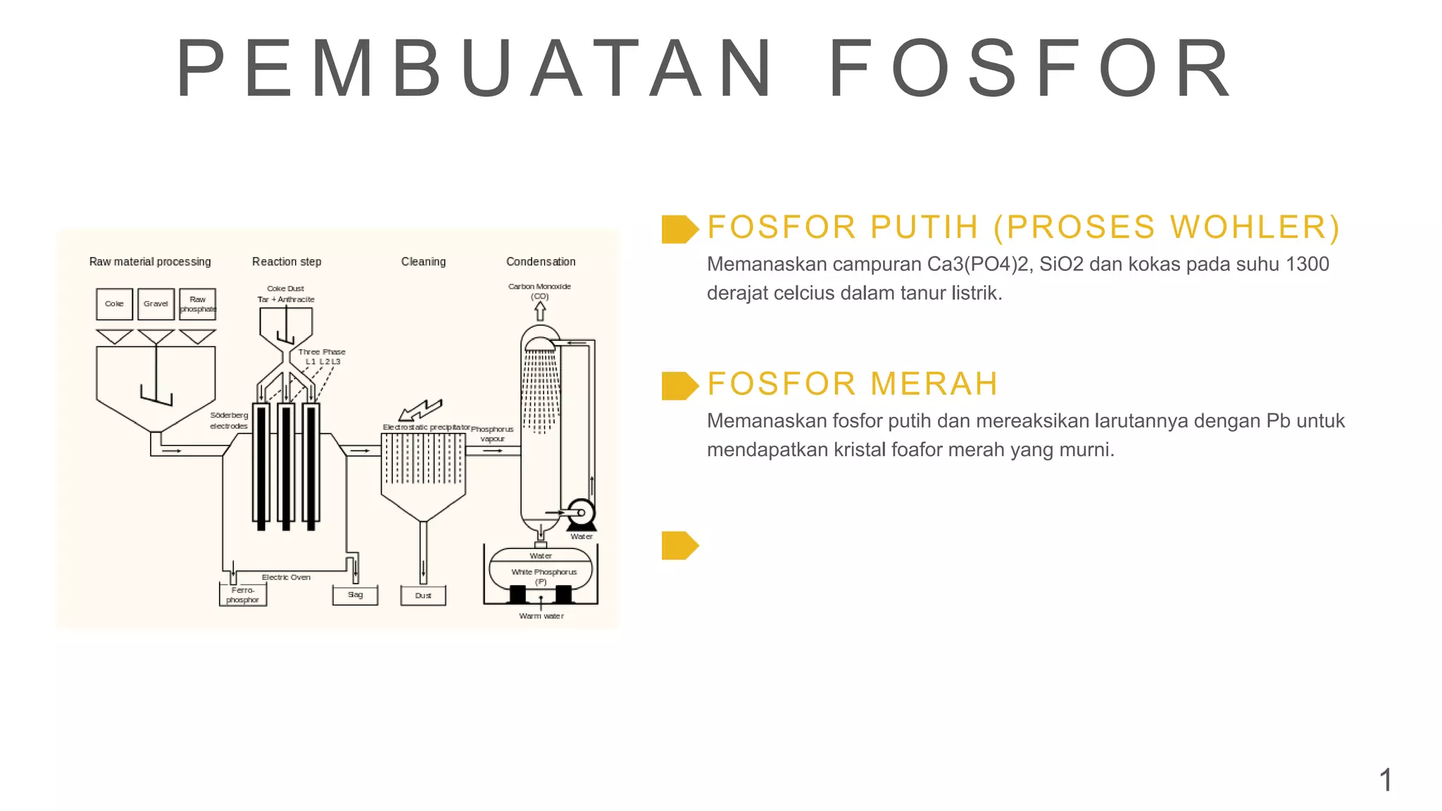 Fosforus | PPTX