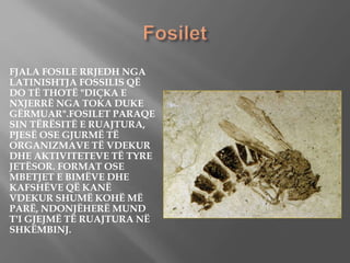 Fosile | PPTX