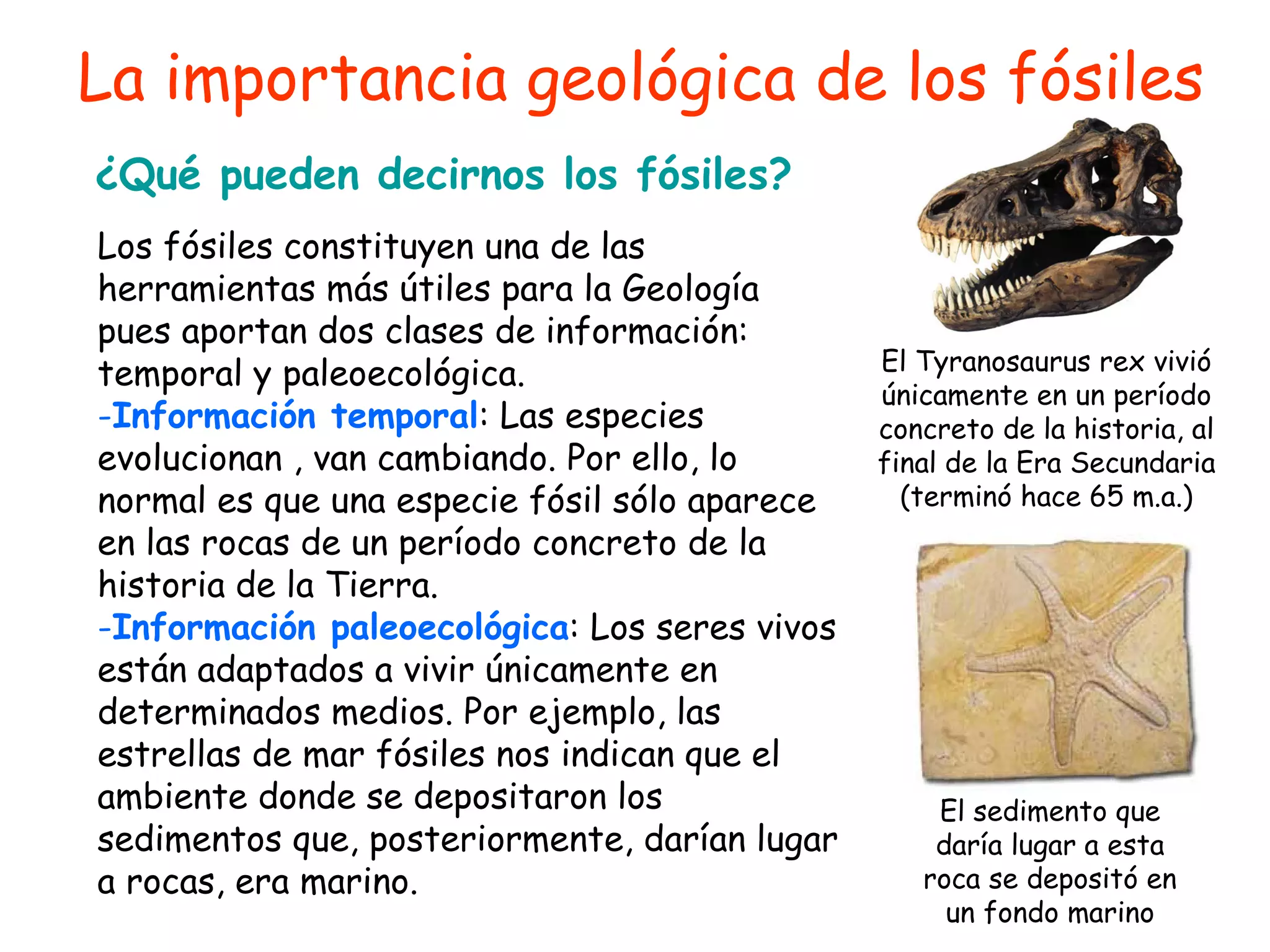 La importancia geológica de los fósiles | PPT