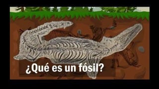 Especialidad de Fosiles | PPTX