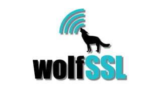 Writing safe and secure code | PDF