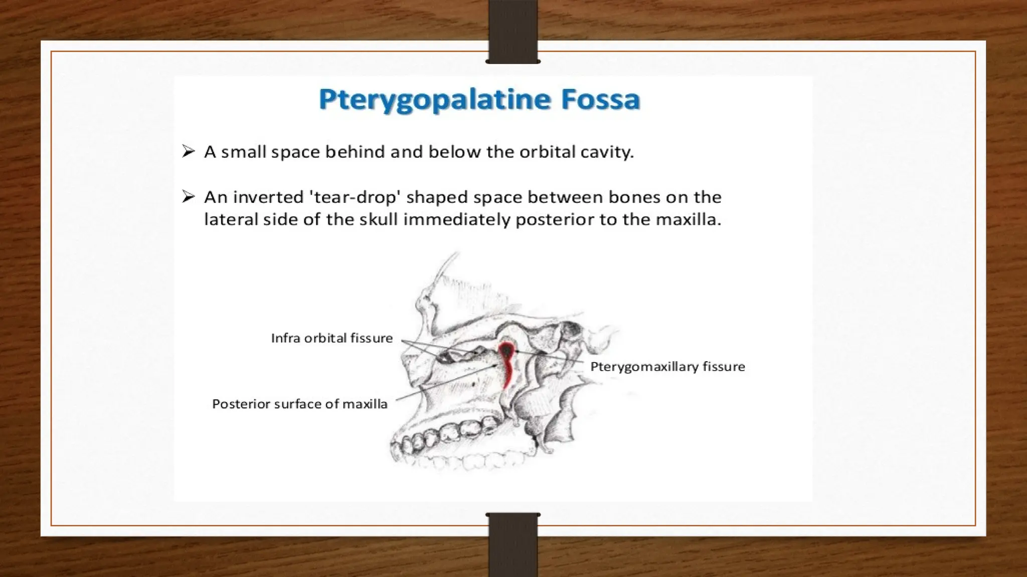 Fossa anatomy all foss a cranial fosaa.pptx