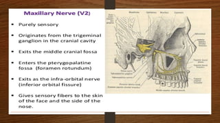 Fossa anatomy all foss a cranial fosaa.pptx