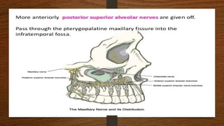 Fossa anatomy all foss a cranial fosaa.pptx
