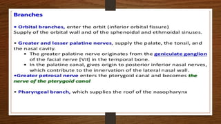 Fossa anatomy all foss a cranial fosaa.pptx