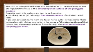 Fossa anatomy all foss a cranial fosaa.pptx