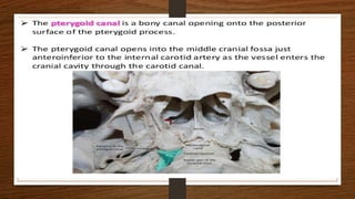 Fossa anatomy all foss a cranial fosaa.pptx