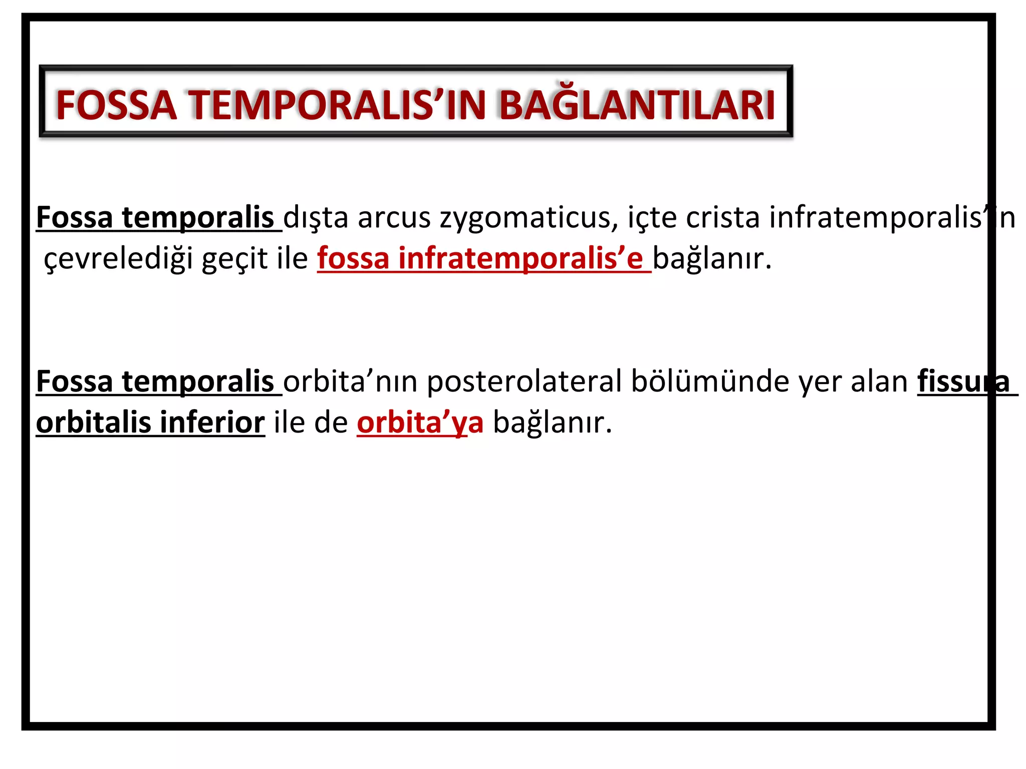Fossa temporalis, fossa infratemporalis, fossa pterygopalatina(fazlası ...