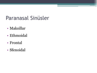 Fossa temporali̇s, i̇nfratemporali̇ ve pterygopalati̇na | PPTX