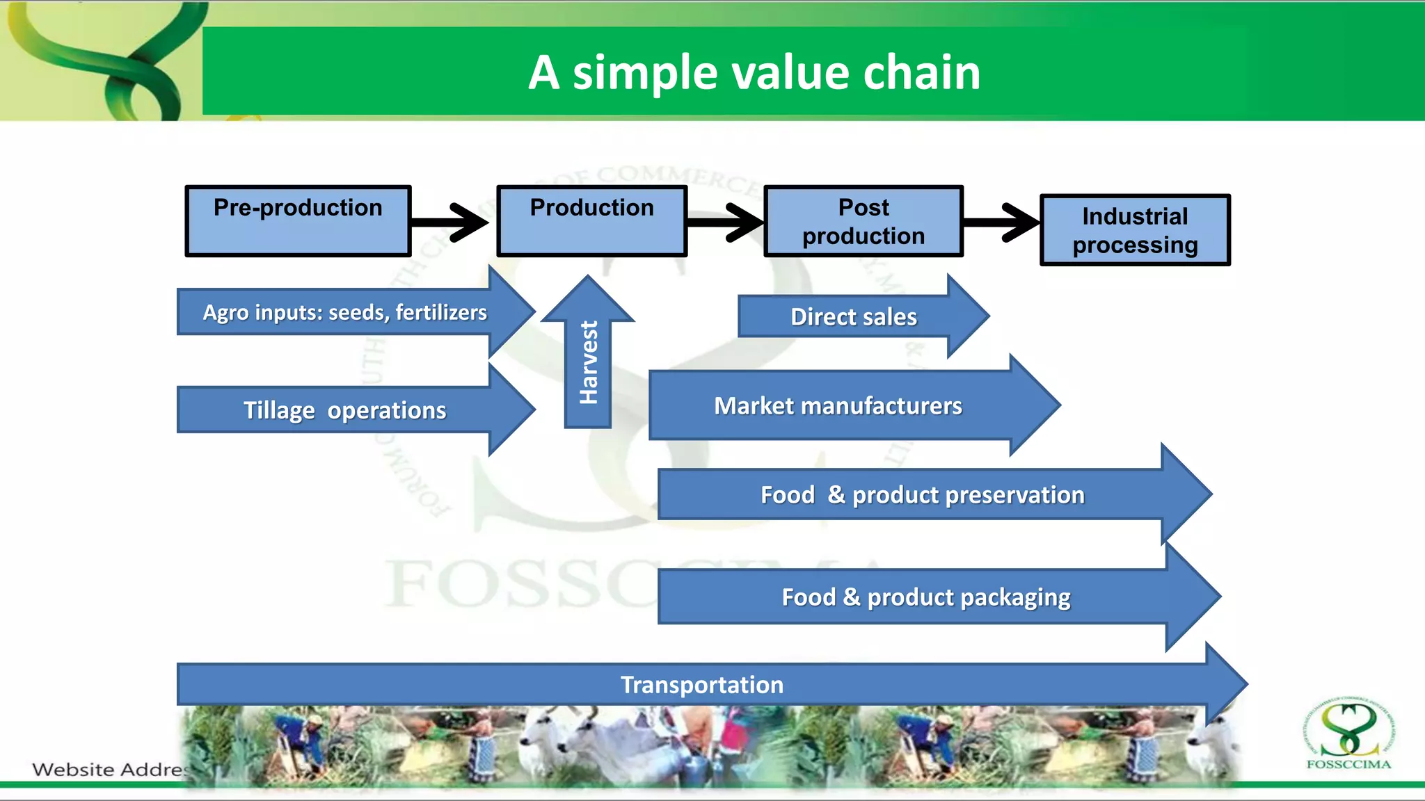 Entrepreneurial Value Chain Presentation | PPTX