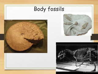 Fossil | PPT