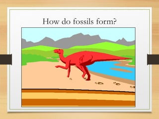 Fossil | PPT