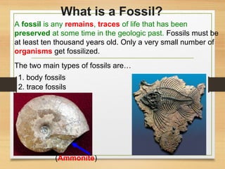 Fossil | PPT
