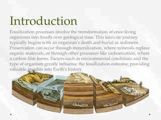 Fossil | PPT