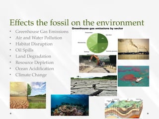 Fossil | PPT