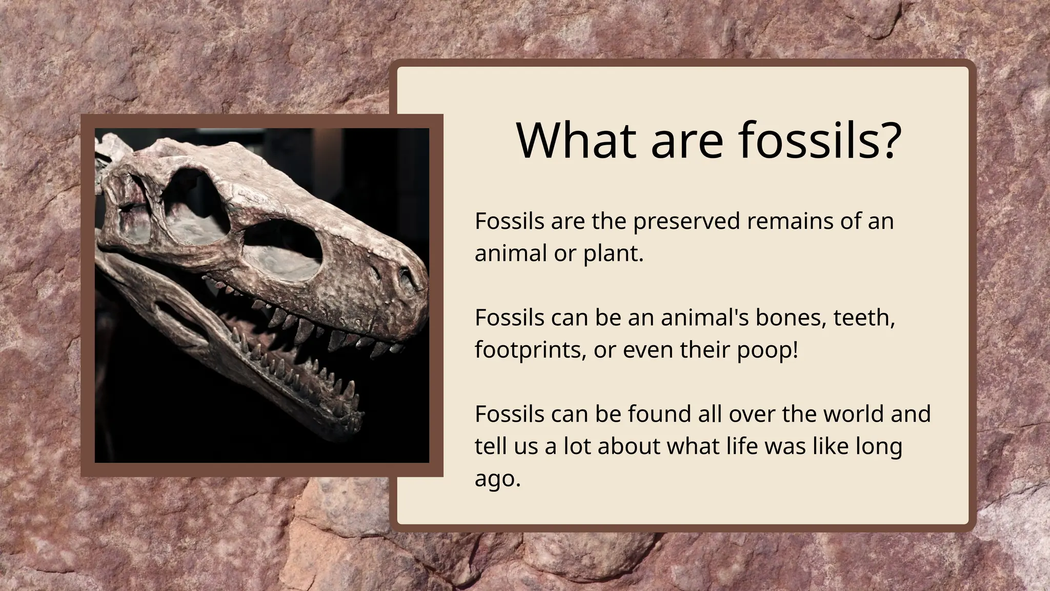 Types of Fossil Energy Sources in the worlds | PPTX