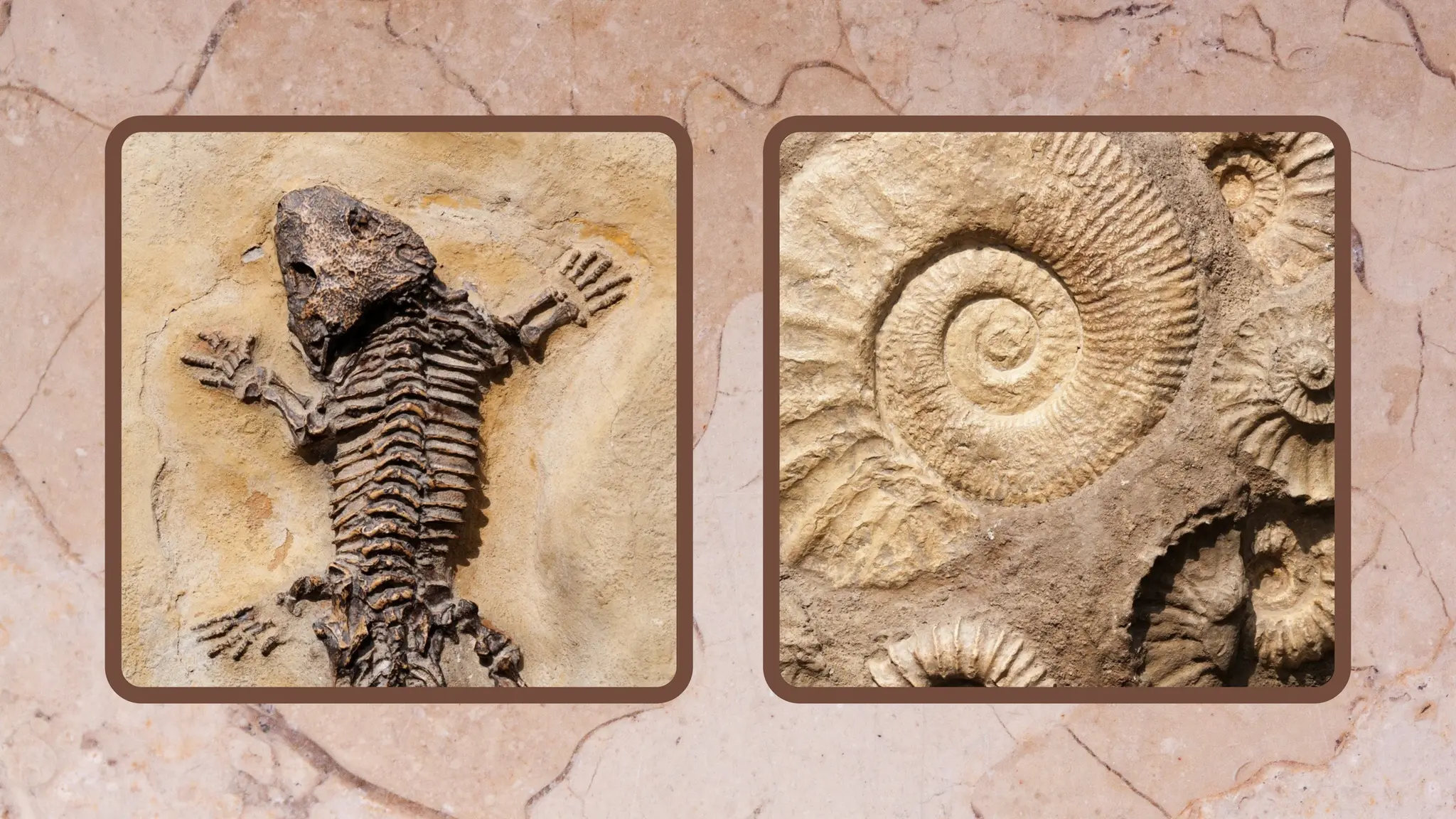 Types of Fossil Energy Sources in the worlds | PPTX