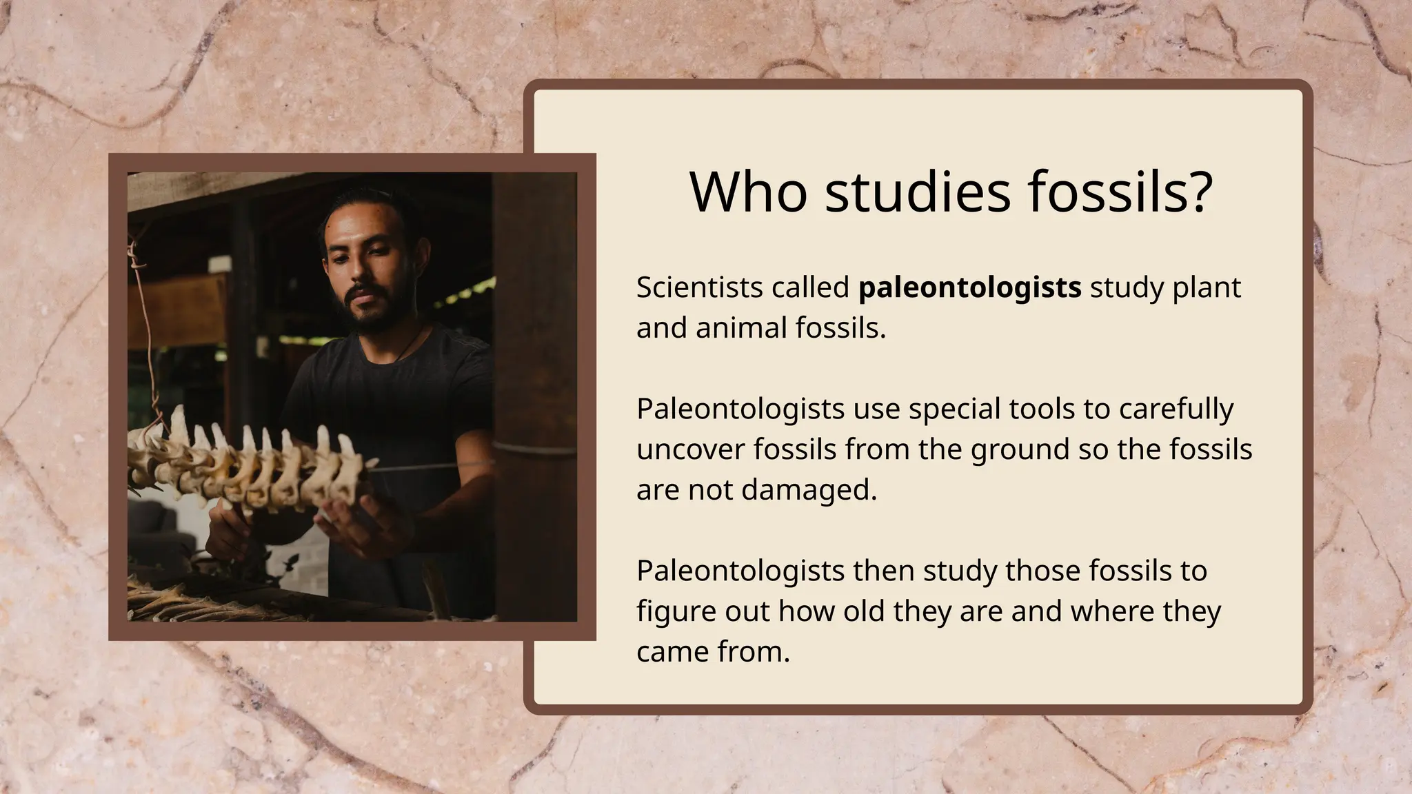 Types of Fossil Energy Sources in the worlds | PPTX
