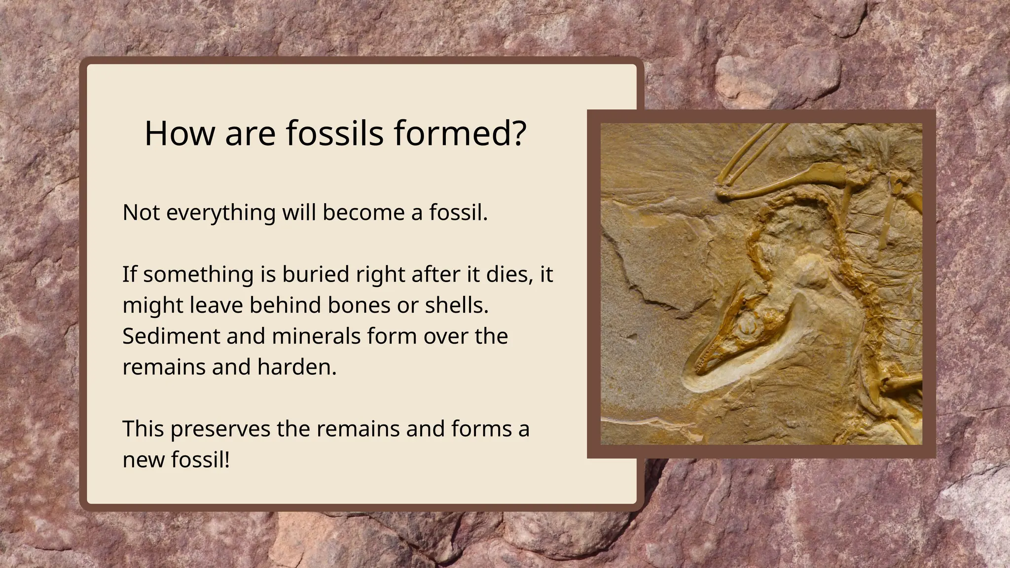 Types of Fossil Energy Sources in the worlds | PPTX