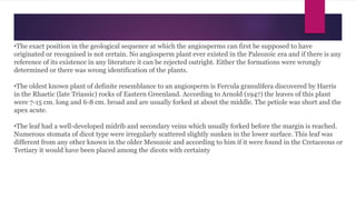 fossil angioosperms.pptx