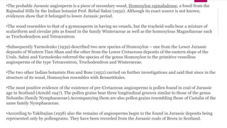 fossil angioosperms.pptx