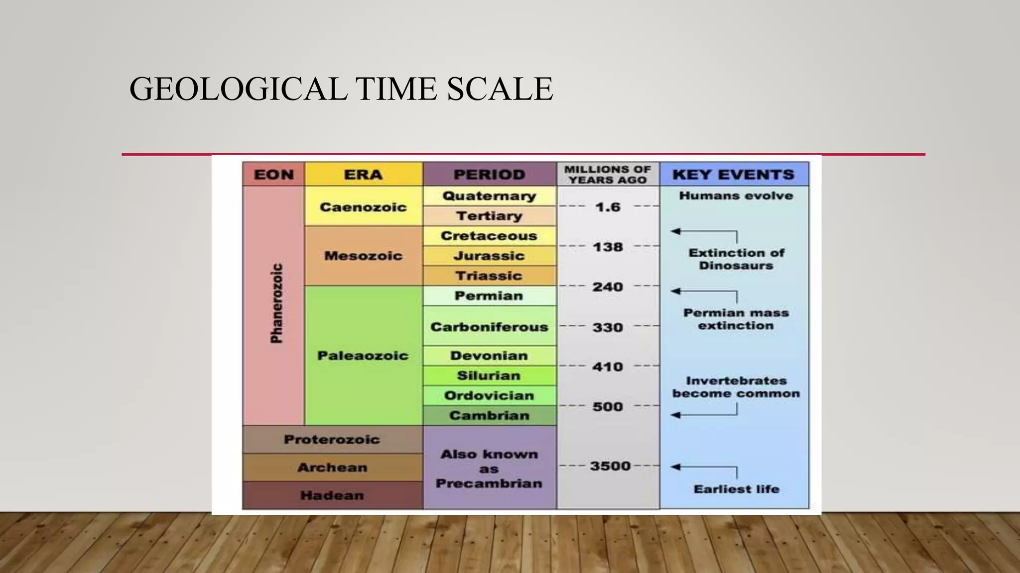 Fossil angiosperms | PPTX