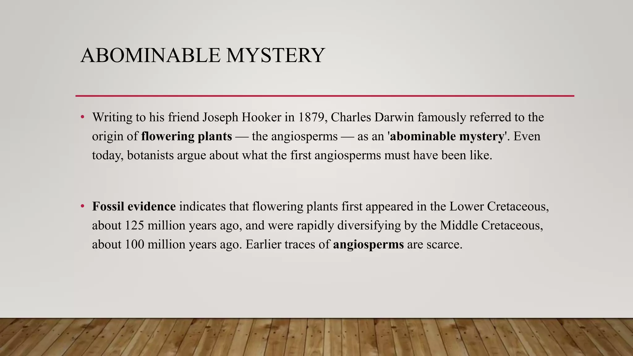 Fossil angiosperms | PPTX