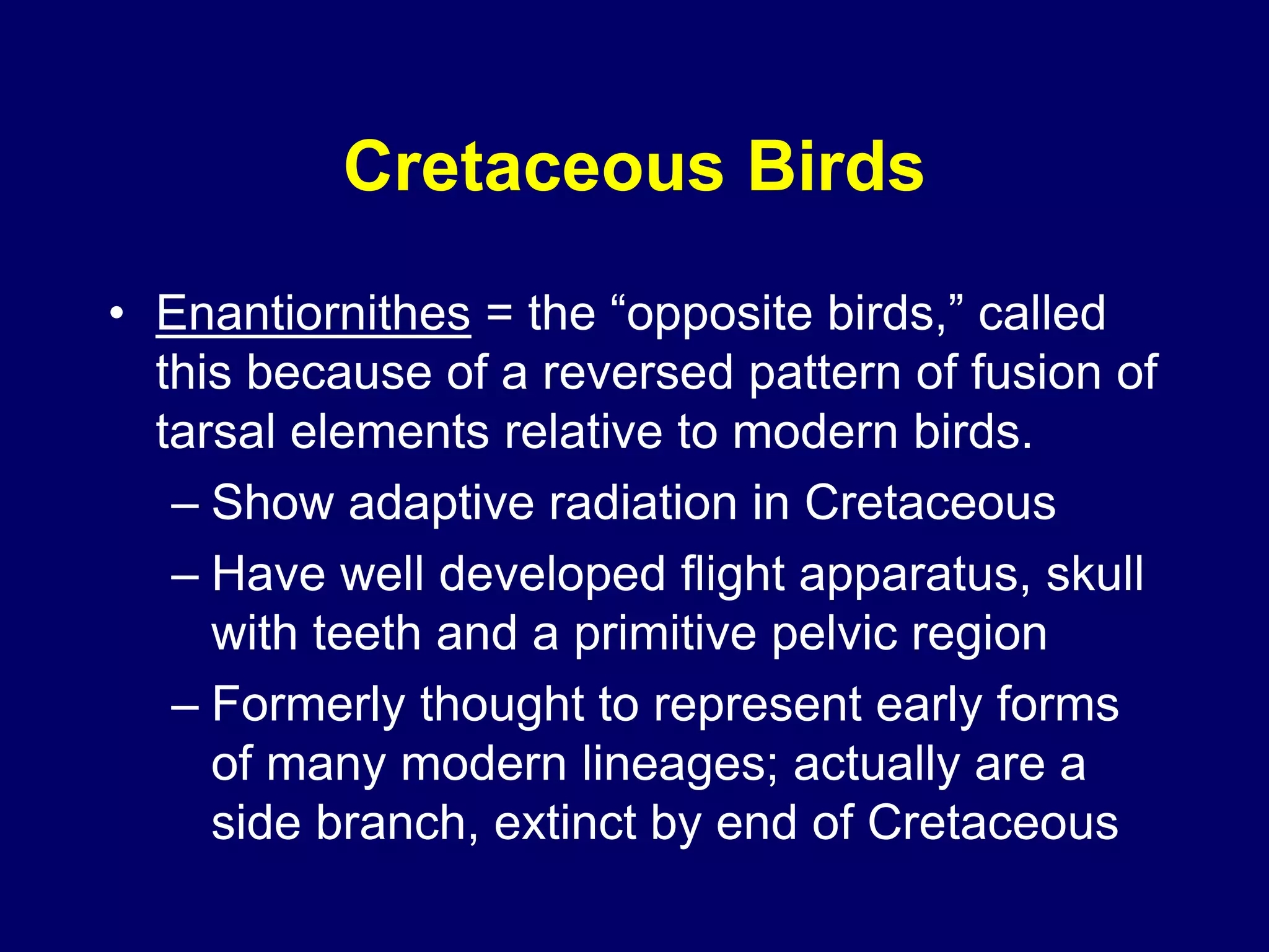 Fossil birds lecture in paleontology | PPT