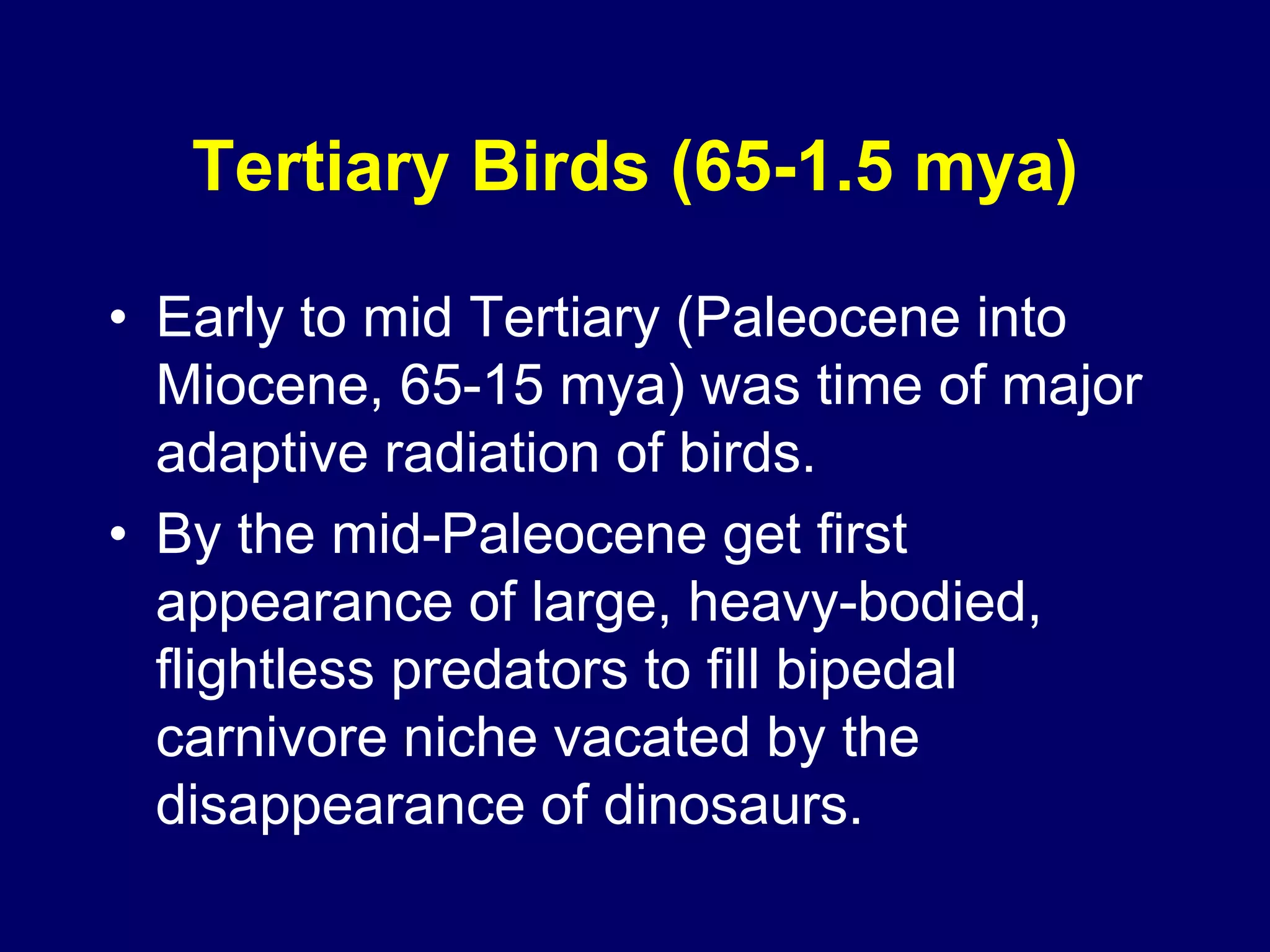 Fossil birds lecture in paleontology | PPT
