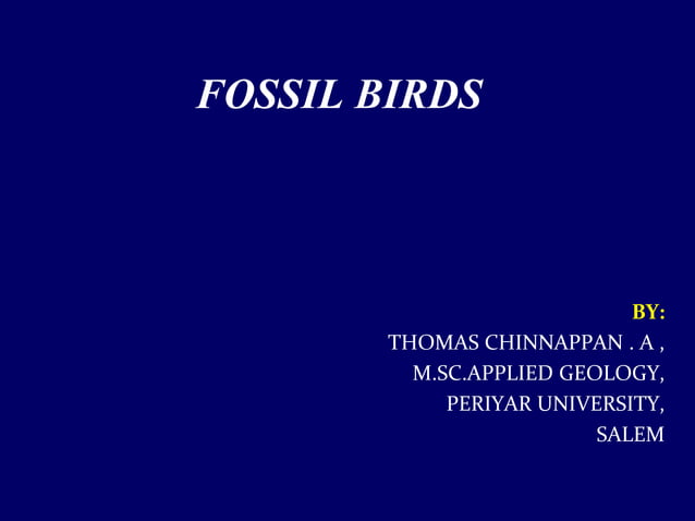 Fossil birds lecture in paleontology | PPT