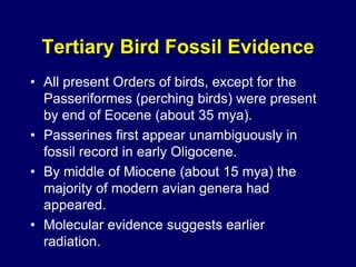 Fossil birds lecture in paleontology | PPT