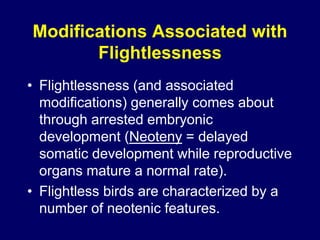 Fossil birds lecture in paleontology | PPT