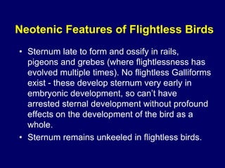 Fossil birds lecture in paleontology | PPT