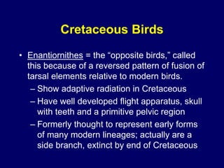 Fossil birds lecture in paleontology | PPT
