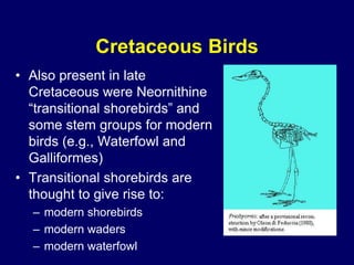 Fossil birds lecture in paleontology | PPT