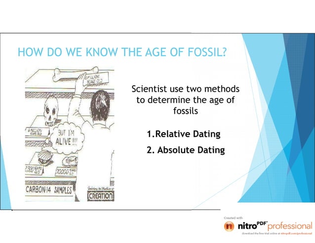Fossil Dating - Relative Dating Techniques | PPT