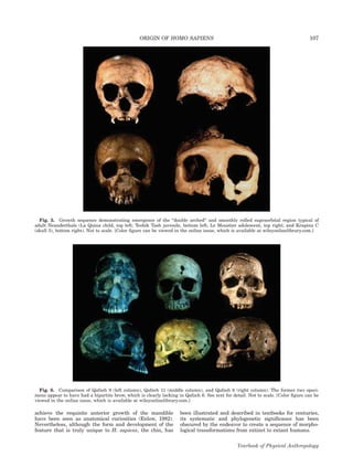 Fossil_Evidence_for_the_Origin_of_Homo_s.pdf