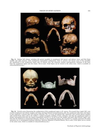 Fossil_Evidence_for_the_Origin_of_Homo_s.pdf