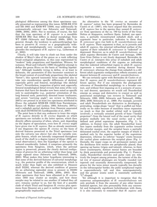 Fossil_Evidence_for_the_Origin_of_Homo_s.pdf