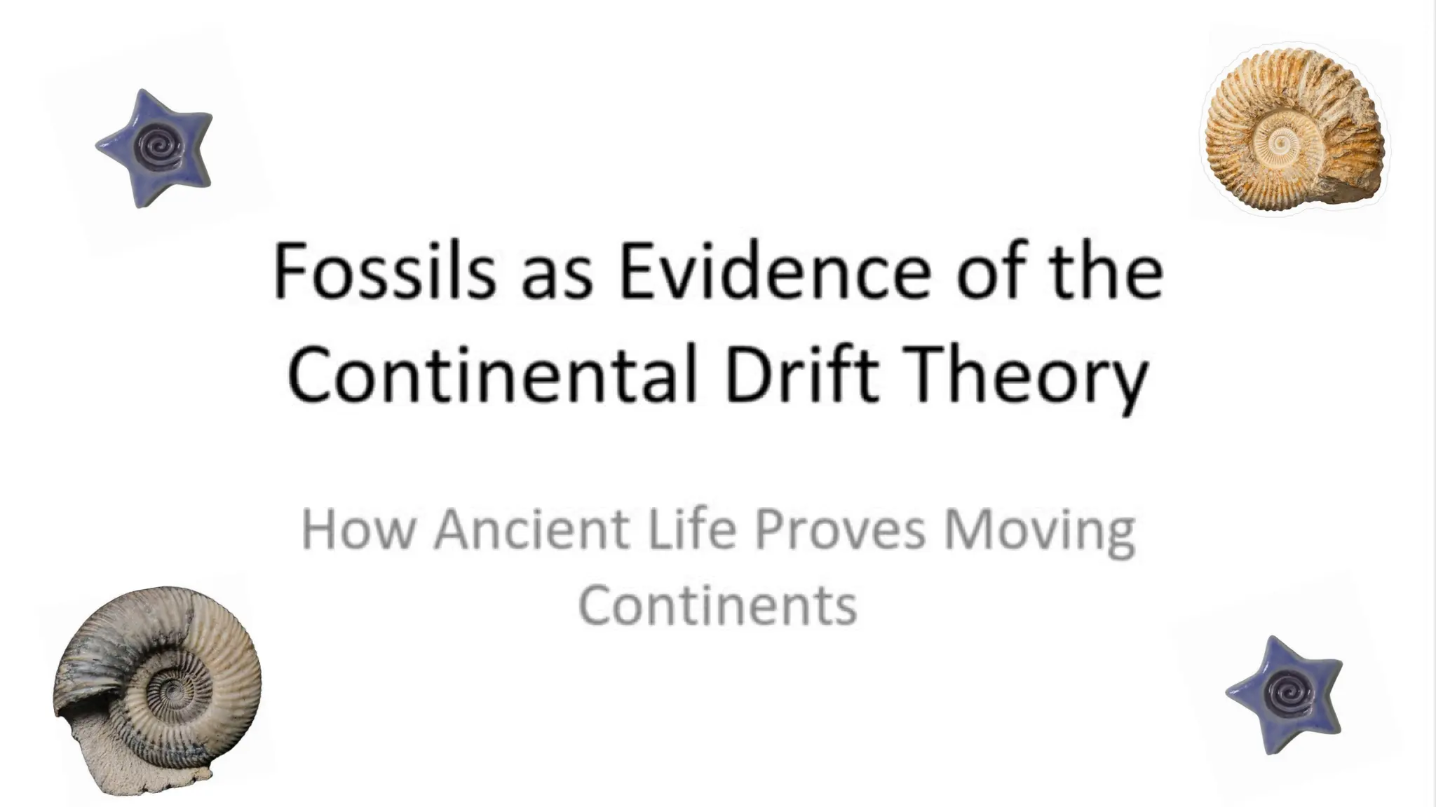 Fossil evidence provides strong support for the continental drift ...