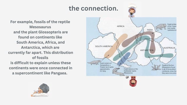 Fossil evidence provides strong support for the continental drift ...